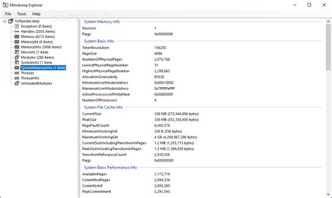 Minidump Explorer Download Softpedia