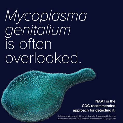 Hologic Inc On Linkedin Stis