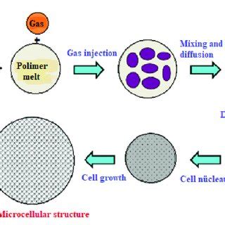 Foam Production Stages In Continuous Extrusion Method 26 Download Scientific Diagram