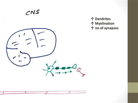 Thyroid Function Tests Pptx Thyroid Disorders Endocrine And Metabolic Diseases