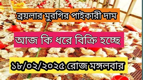 18 ব্রয়লার মুরগির পাইকারি দাম সোনালি মুরগির পাইকারি দাম আজকের বাজার মুরগির বাজার Murgir Price