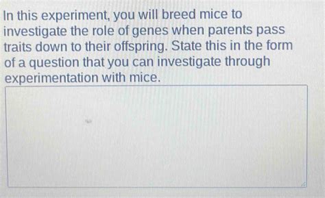 Solved In This Experiment You Will Breed Mice To Investigate The Role