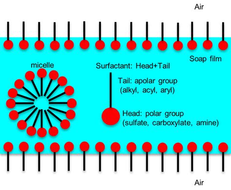 Soap Chemical Structure At Alyssa Camm Blog