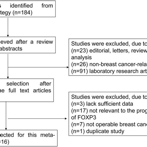 Prisma Meta Analysis Flow Chart My Xxx Hot Girl