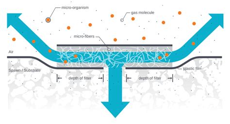 Surface Filter Vs Depth Filter At Loren Griffith Blog