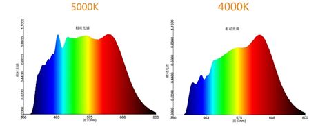 10w Cob Led Chips Full Spectrum Sunlight For Plant Growth