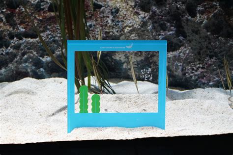 ‘개원 10주년 다양한 이벤트 할인 행사 펼치는 롯데월드 아쿠아리움 매일경제