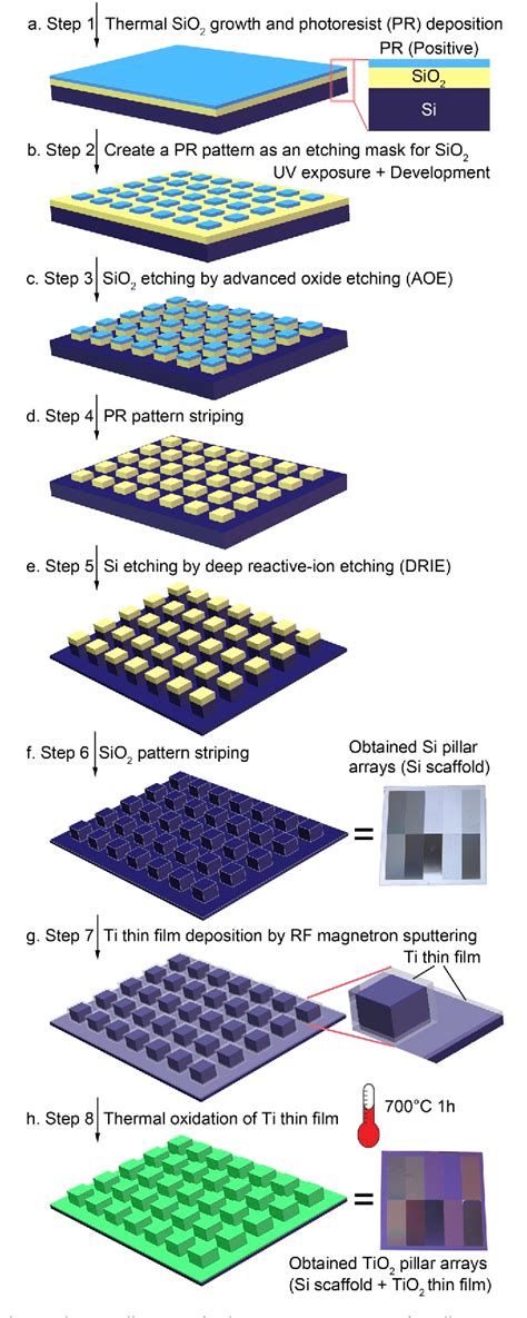 Figure 1 From Micro Nano Structured Tio2 Surface With Dual Functional Antibacterial Effects For