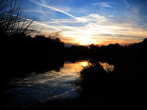 무료 이미지 경치 나무 자연 수평선 구름 하늘 태양 해돋이 일몰 햇빛 아침 호수 새벽 분위기 황혼 저녁 반사 휴식 뻗기 아름다운