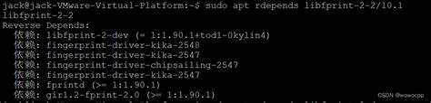 银河麒麟kylin v10 apt deb包问题记录 银河麒麟安装deb安装包 csdn博客