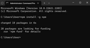 Troubleshooting Npm Not Recognized Error