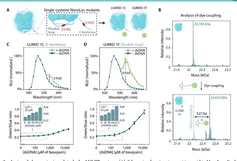 Figure 2 From Bioluminescent Intercalating Dyes For Ratiometric Nucleic Acid Detection