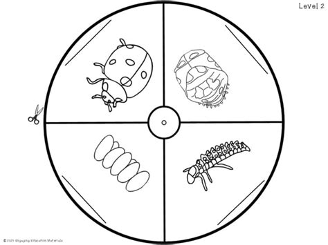 Life Cycle Of A Ladybug Circle Wheel By Engaging Education Materials