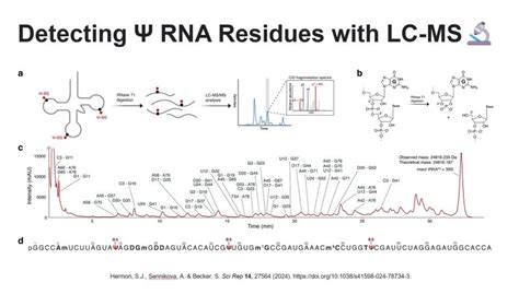Matthew Lauber On Linkedin Pseudouridine Rna Massspec