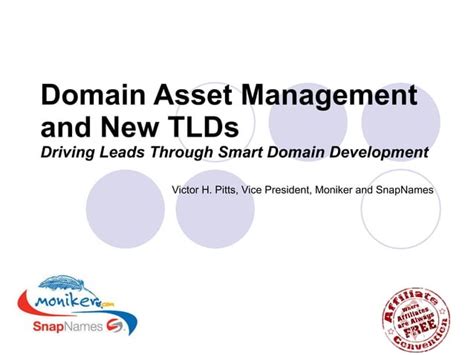 Domain Asset Management Ppt