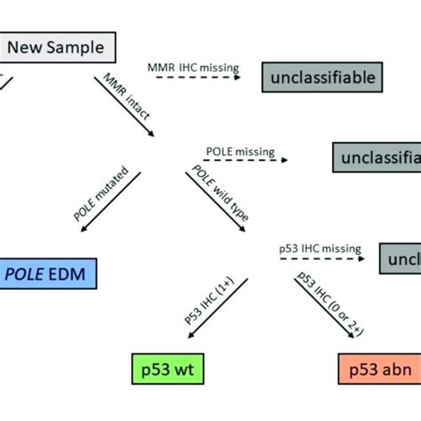 The Proactive Molecular Risk Classifier For Endometrial Cancer