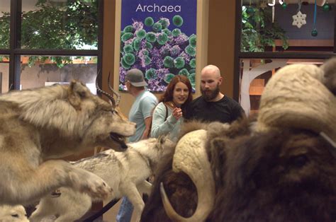Night At The Museums Showcases Byus 5 Museums Byu Daily Universe