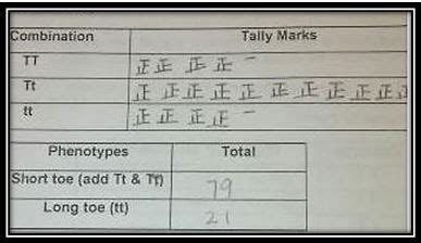 Go Figure Different Ways To Write Tally Marks