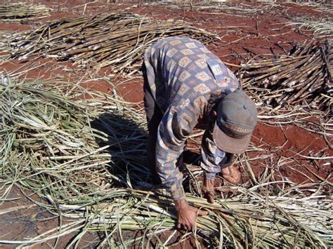 The History Of Human Trafficking Hankering For History