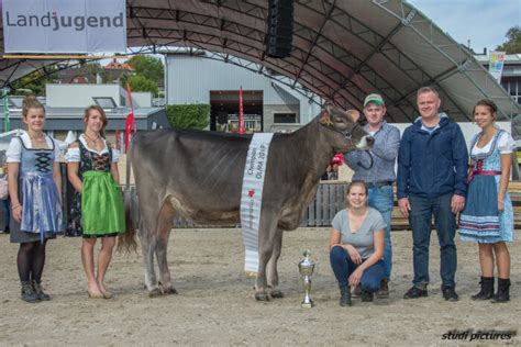 Hofstetters Biver Jeylin