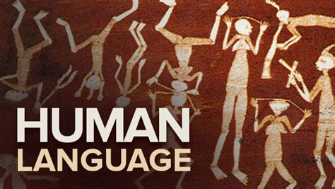 Anything You Need To Know About Human Language The Lingwist