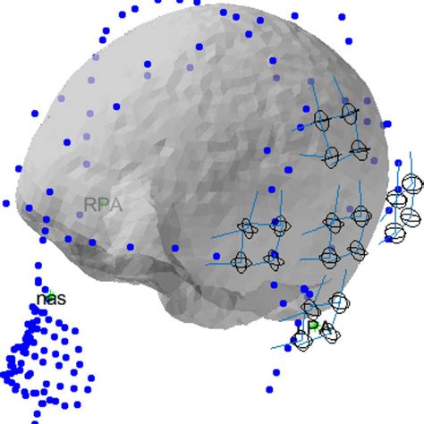 The Simulated Sensor Arrays Co Registration The Array Covers The