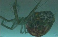 Spiders Resident Evil CODE Veronica X Guide IGN Spiders Resident Evil CODE Veronica X Guide IGN