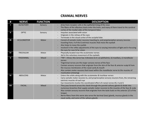 Nervous Supp Cranial Nerves Warning Tt Undefined Function 22