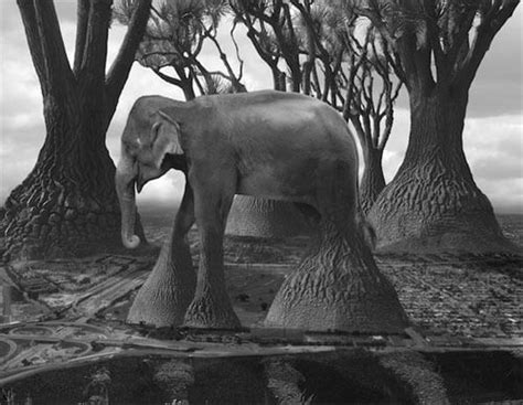 Thomas Barbèy Photographer All About Photo