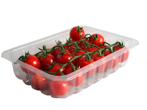 Productprocessor Trays Recycled Formings Ltd