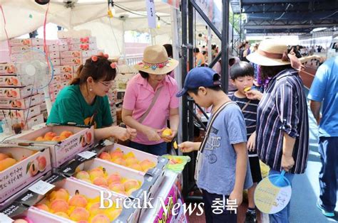 옥천군 제13회 향수옥천 포도·복숭아축제 마무리