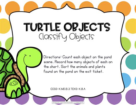 Turtle Objects Classify Objects Learning Centers Made Easy
