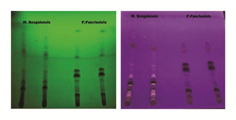 In Vitro Inhibition Of α‐amylase And α‐glucosidase By Extracts From