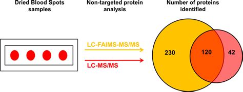 High Field Asymmetric Waveform Ion Mobility Spectrometry In Nontargeted Bottom Up Proteomics Of