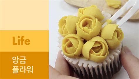 사랑스러운 앙금플라워 떡케이크 배우기