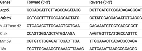 Quantitative Real Time Pcr Primer Sequences Download Scientific Diagram