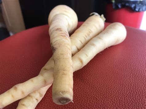 Ingredient Of The Week Parsnip Blindingly Good Food Ingredient Of The Week Parsnip Blindingly Good Food