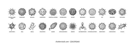 Viruses Names Isolated On White Background Stock Vector Royalty Free