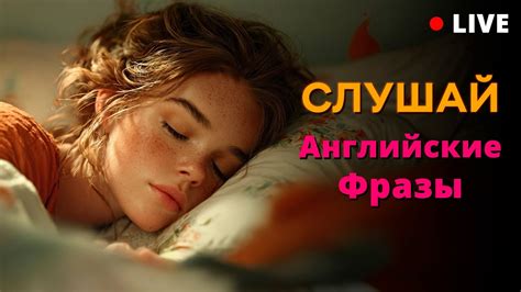 Заговори на английском уже сегодня Самые нужные фразы для начинающих