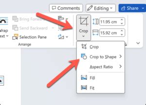 How To Crop Pictures In Microsoft Word