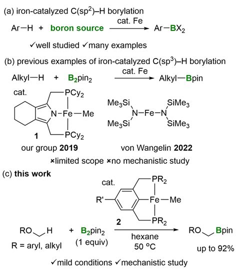 Iron‐catalyzed C−h Borylation Download Scientific Diagram