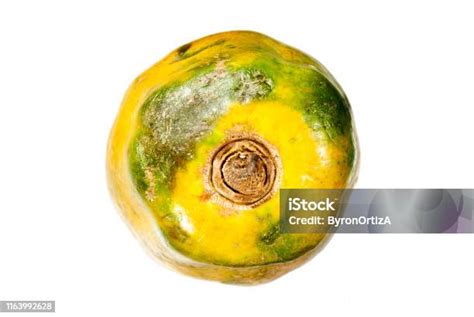 흰색 배경에 파파야 열대 과일 과테말라 중앙 아메리카 농업 생산 건강한 생활방식에 대한 스톡 사진 및 기타 이미지 건강한 생활방식 건강한 식생활 경제 Istock