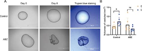 Figure 1 From A Simple Quick And Economical Method For In Vitro