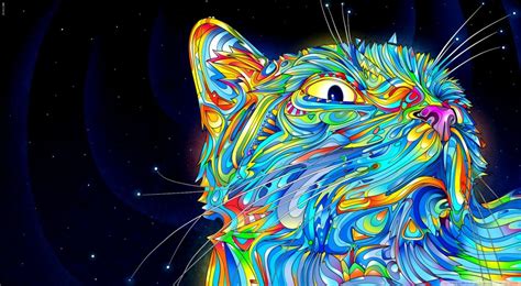 Dope Cat Wallpapers Top Free Dope Cat Backgrounds Wallpaperaccess
