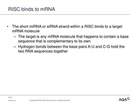 A Level Biology Rna Interference Rnai Ppt Download