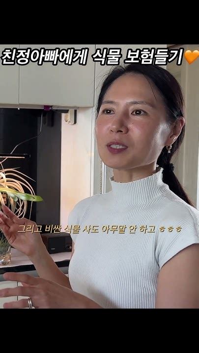 취미 취미생활 식물키우기 식물인테리어 Plants 반려식물 정원놀이 가드닝 베란다정원 베란다가드닝 베란다식물 플랜테리어 난초 난초키우기 난초물주기