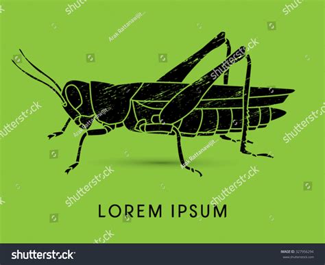 Grasshopper Designed Using Grunge Brush Graphic Stock Vector 327956294 Shutterstock