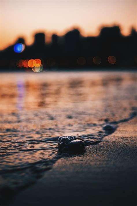 картинки пляж море берег воды песок камень океан горизонт облако небо солнце Восход