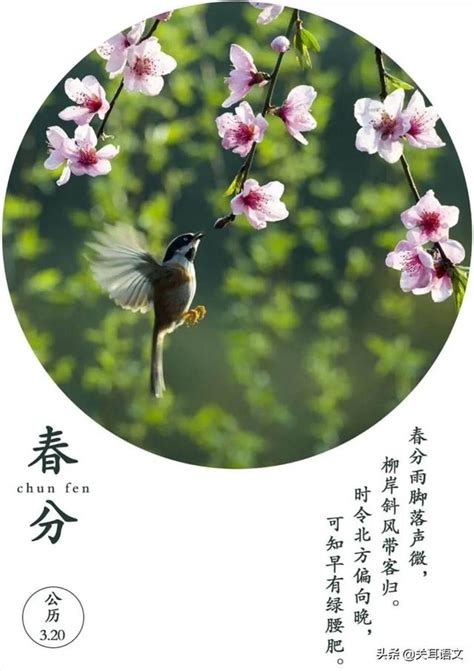 二十四節氣四春分 每日頭條