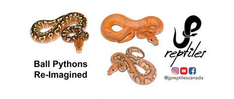 Operation Python Added A New Photo Operation Python